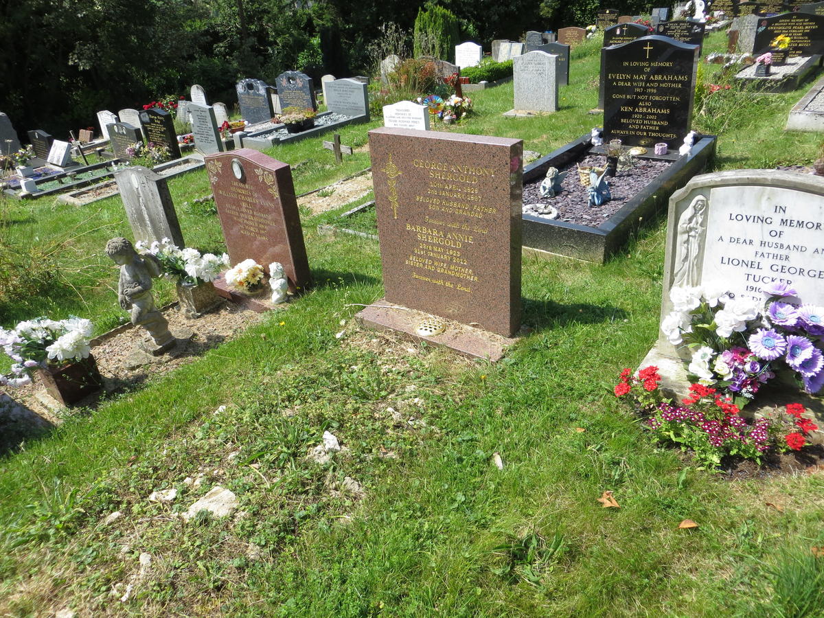 George Anthony Shergold | Bath Record Office