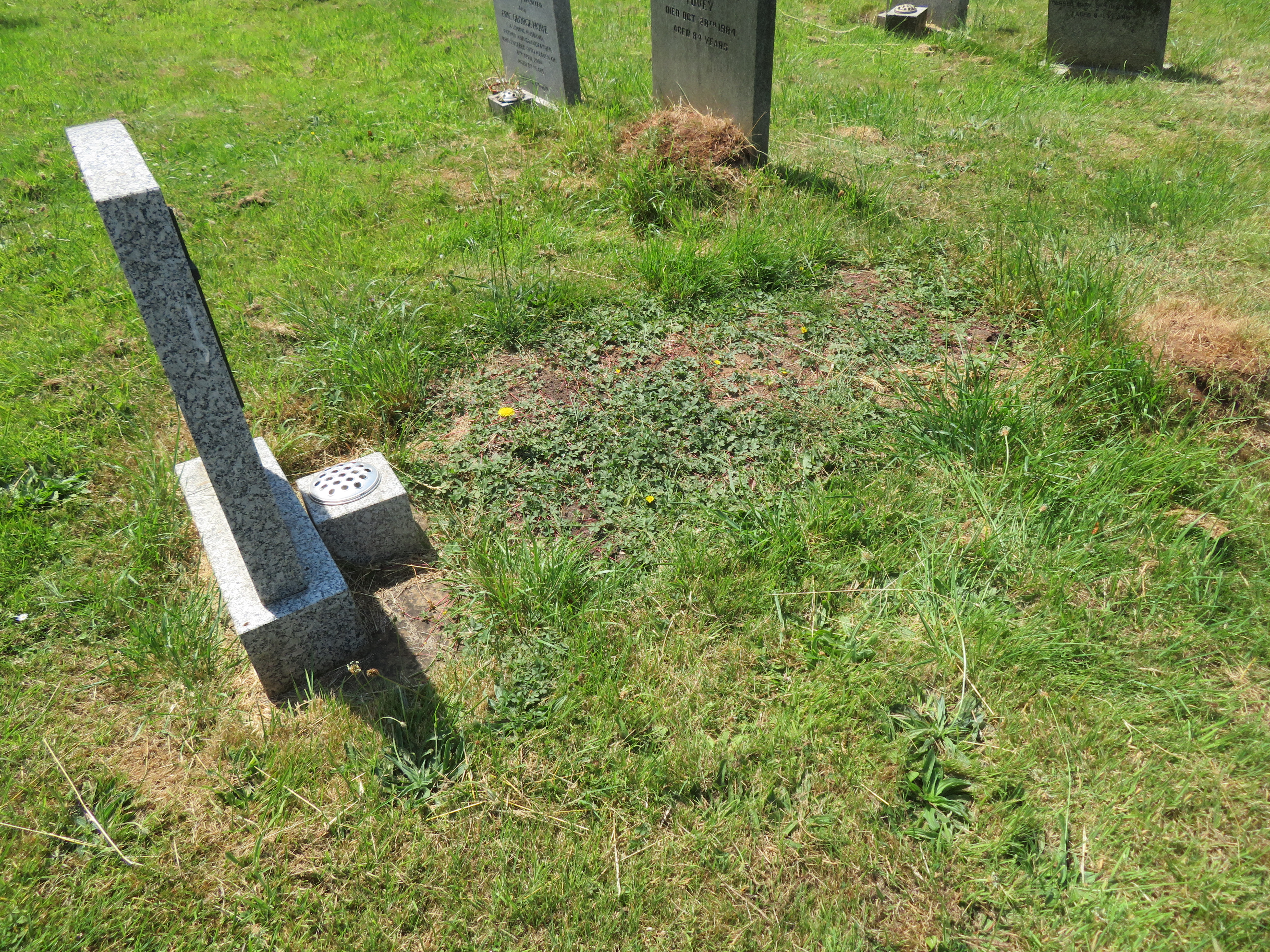 Rita Margaret Bazell | Bath Record Office